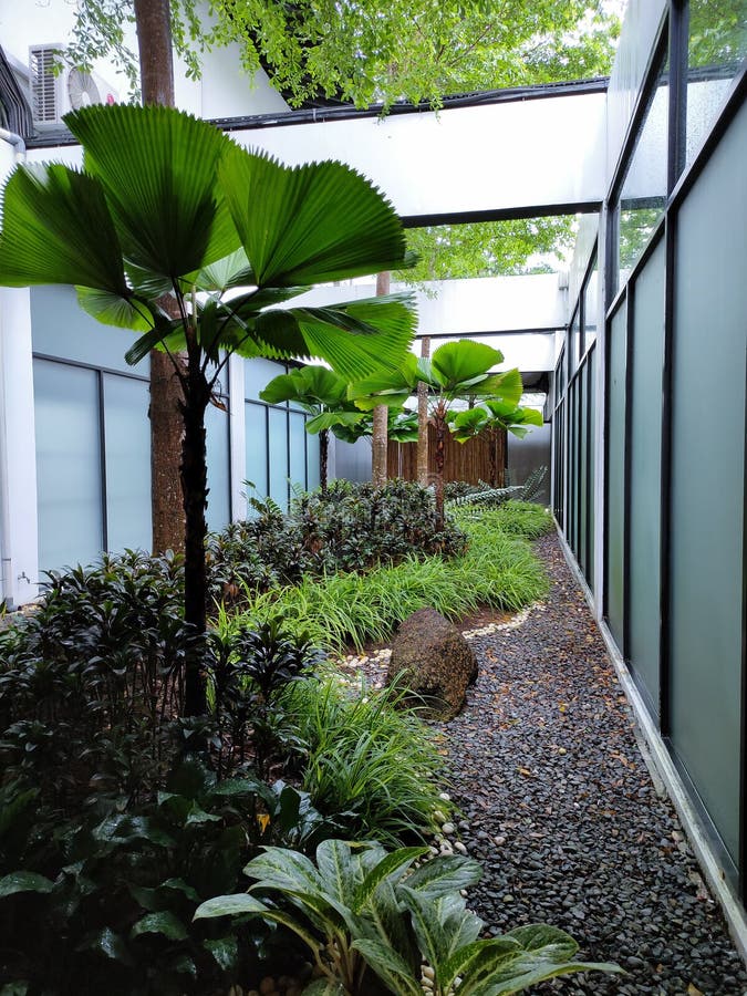 Hide of Nature, Park Side stock photo. Image of park - 222327256