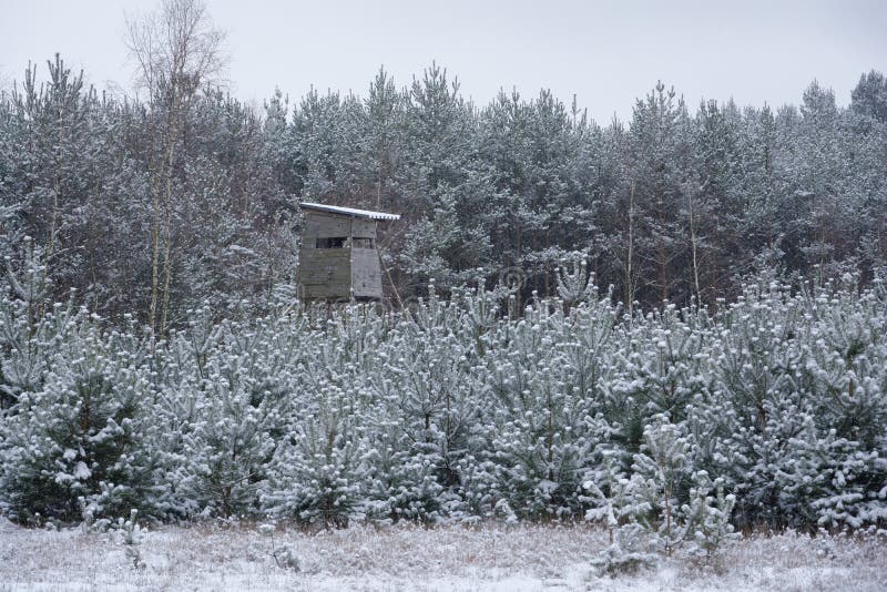 Hide raised winter stock photo. Image of hide, wooden - 50114362
