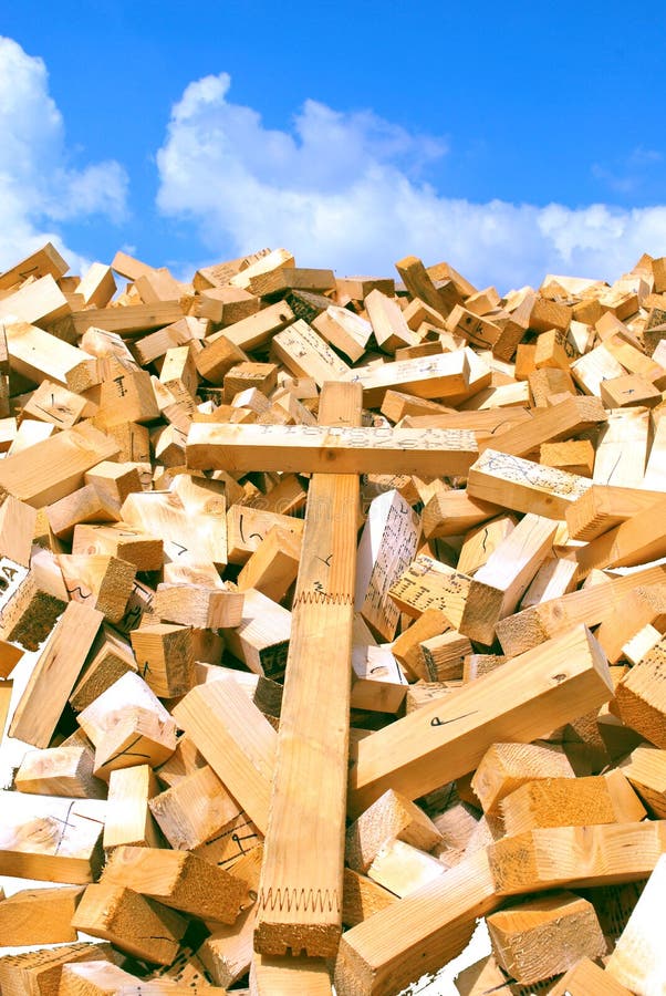 Hide and seek stock image. Image of detail, blended, chirpiest - 7371343