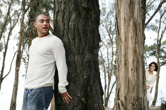 Hide and Seek in forest stock image. Image of bark, hiding - 5235307