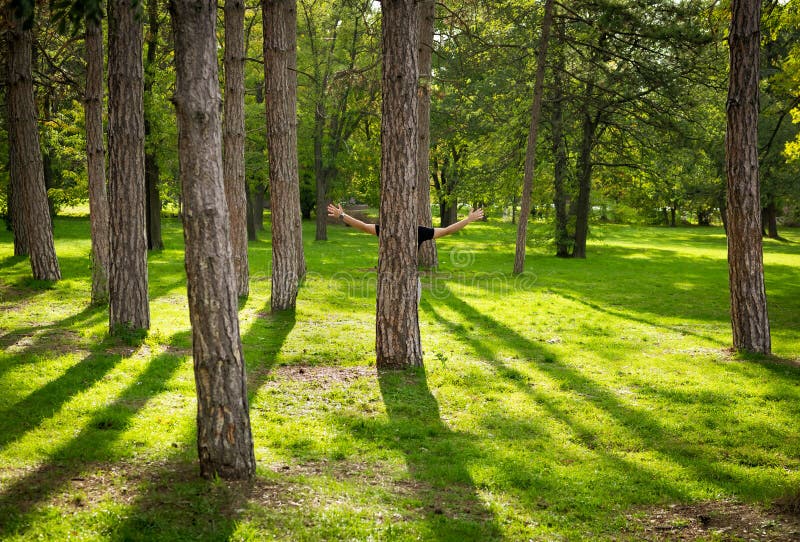 Hide and Seek in Nature Behind the Trees in a Line Stock Photo - Image ...