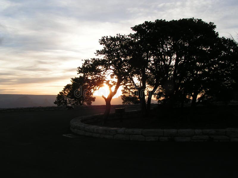 Sunrise through Dome Shaped Tree Stock Photo - Image of mystery, hoppe ...