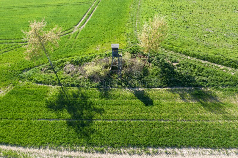 A hide between trees stock image. Image of nature, outdoors - 188258615