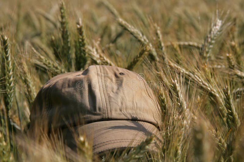 Hiding stock photo. Image of child, fear, silly, little - 18756000