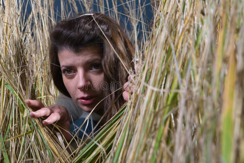 109 Woman Hiding Bush Stock Photos - Free & Royalty-Free Stock Photos ...
