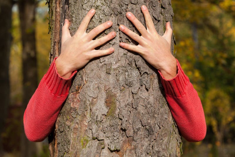 Man Hiding Behind Tree Stock Images - Download 158 Royalty Free Photos