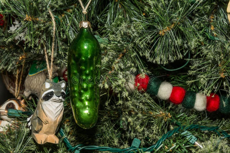 Hiding the Christmas Pickle Stock Photo - Image of finding, festivities ...
