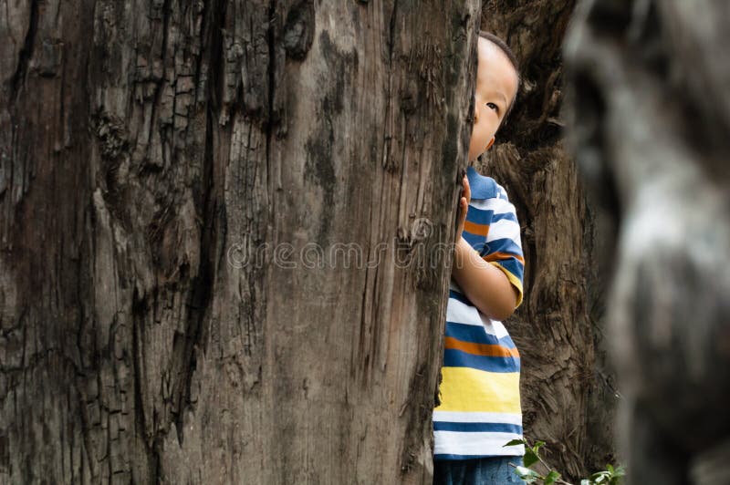 Kid behind tree stock photo. Image of peek, childhood - 64573626