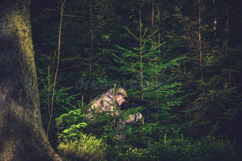 Hiding Poacher in Deep Forest Stock Photo - Image of forest, threat ...