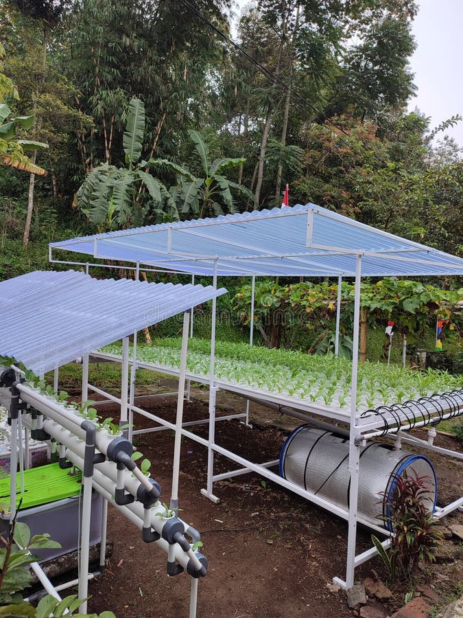 Hidroponik Farm Flexible Small Space Stock Photos - Free & Royalty-Free ...