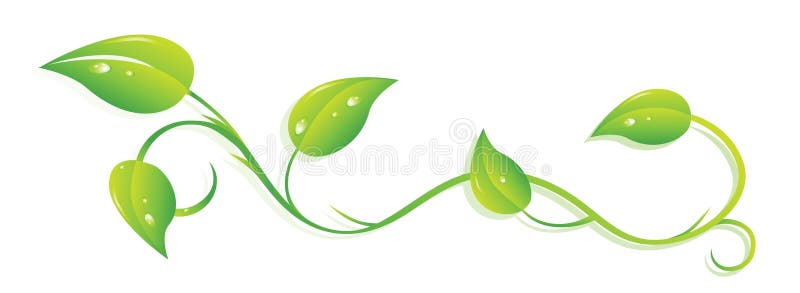 Enredadera Ilustraciones Stock, Vectores, Y Clipart – (2,331 ...