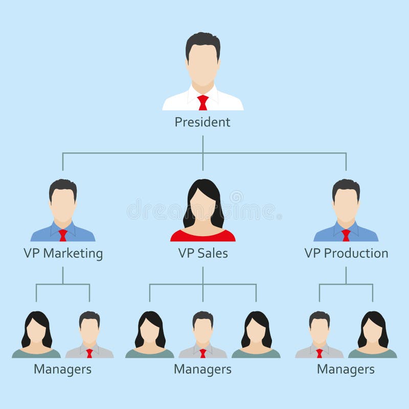 Human Organization Resources Structure Stock Illustrations – 1,558 ...