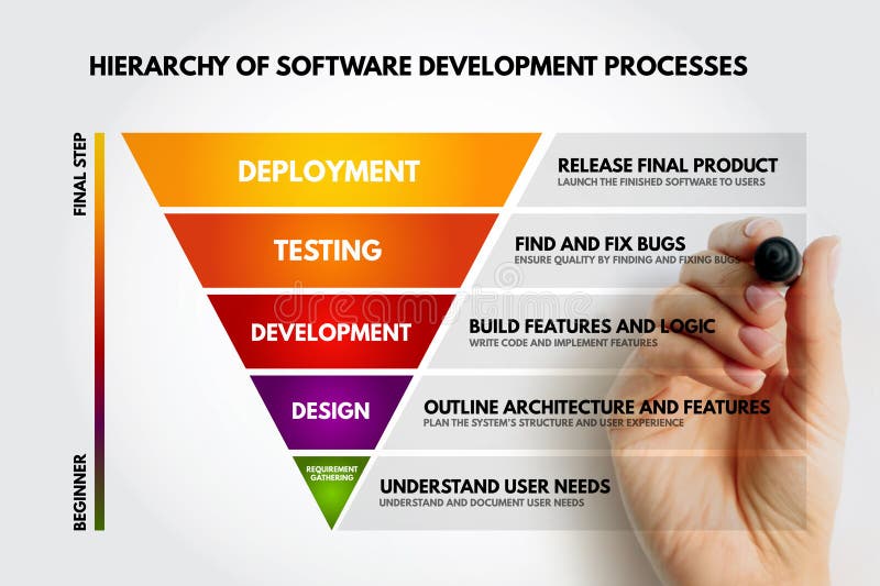 384 Etapas Del Desarrollo Humano Fotos de stock - Fotos libres de regalías de Dreamstime