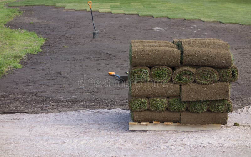 Hierba en una plataforma foto de archivo. Imagen de atlético - 67718084