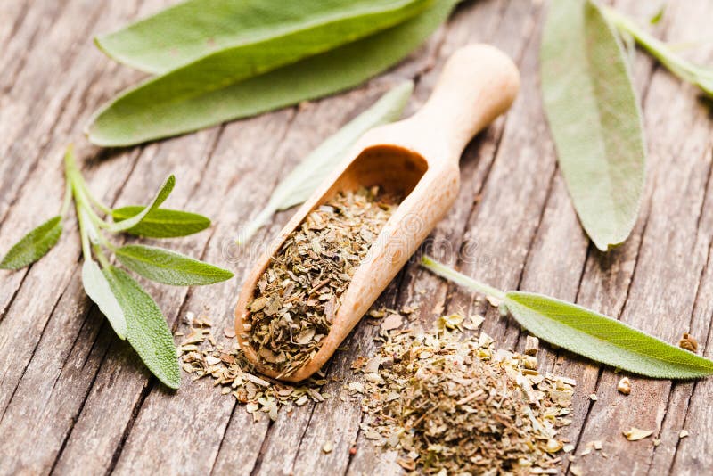 Hierba sabia seca foto de archivo. Imagen de planta, verde - 76785824