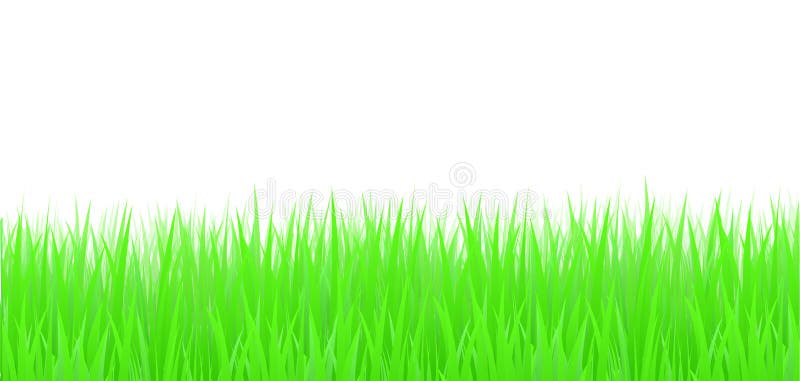 Hierba, vector ilustración del vector. Ilustración de flora - 46606285