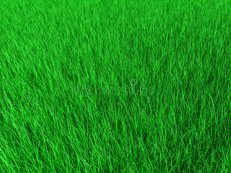 Hierba verde foto de archivo. Imagen de balompié, exuberante - 11191686
