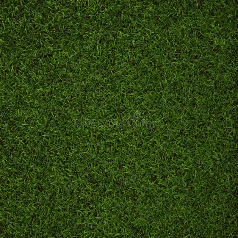 Textura de la hierba imagen de archivo. Imagen de parque - 14118217