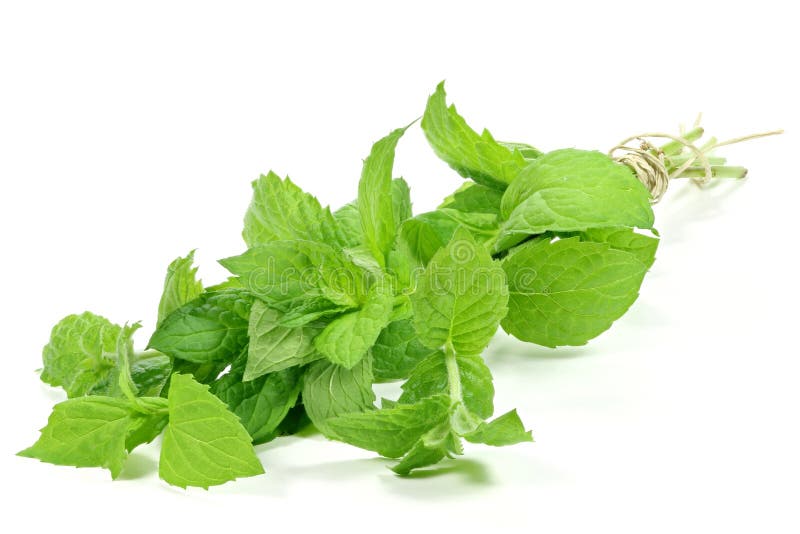 Hierbabuena imagen de archivo. Imagen de hojas, fresco - 71690327