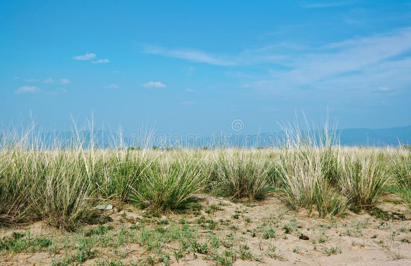 Hierbas de la estepa imagen de archivo. Imagen de valle - 76857351