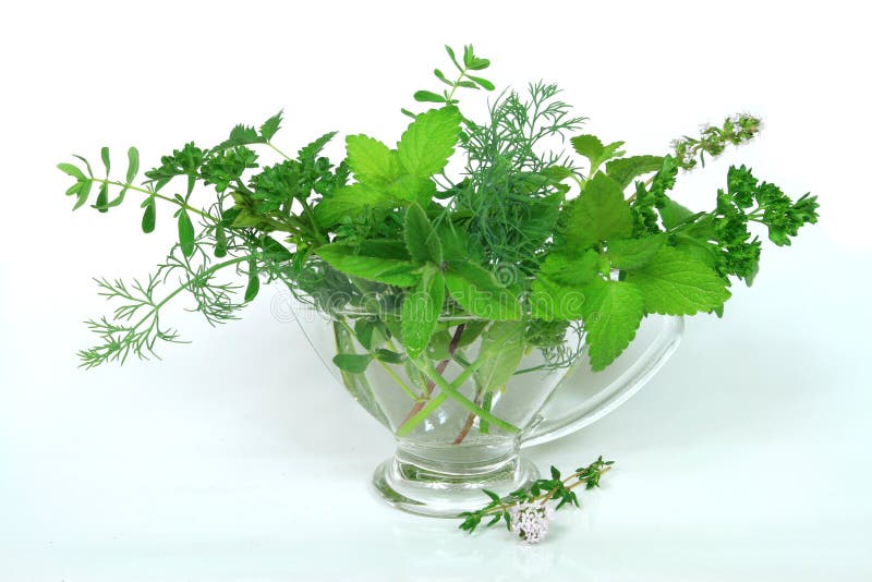 Hierbas naturales foto de archivo. Imagen de eneldo, condimento - 5468356