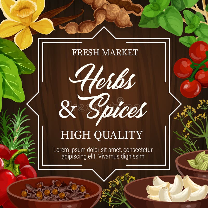 Hierbas Y Especias, Condimentos Del Condimento De La Comida Del Vector ...