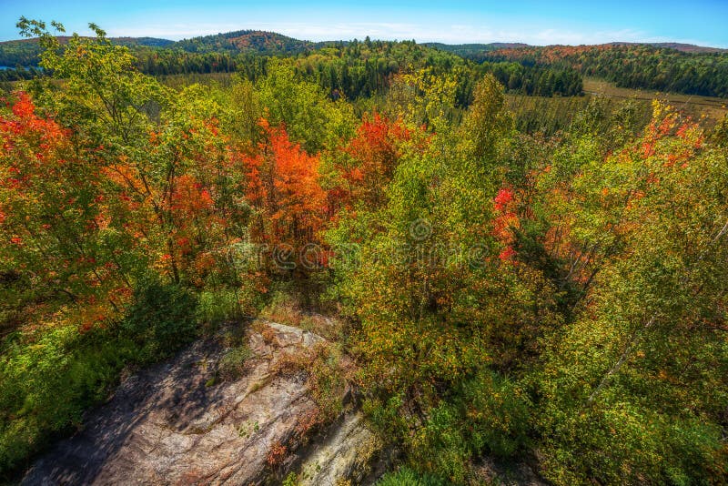 High Above the Trees in Autumn - Wide Angle Stock Photo - Image of ...