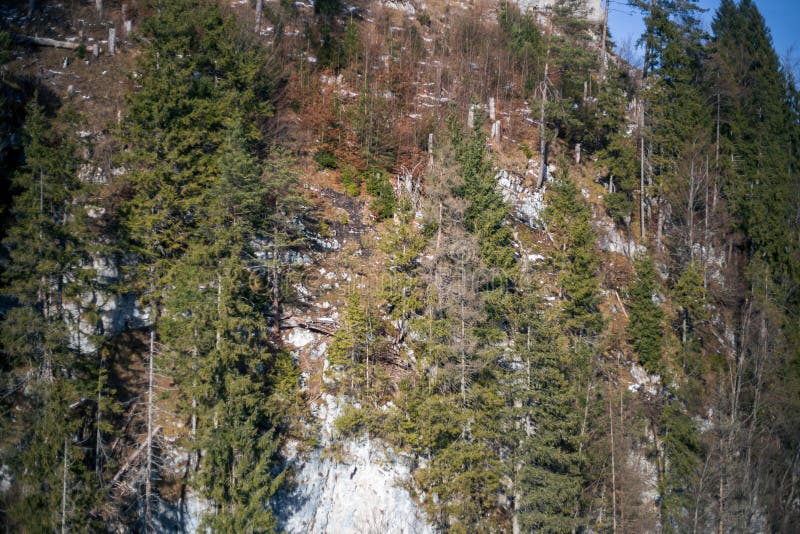 High Alpine Mountains with Snow in Germany and Blue Beautiful Sky Stock ...