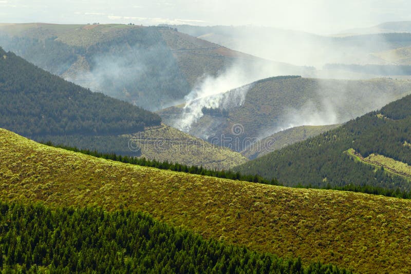 High Altitude Forest Deliberately Set To Fire Stock Photo - Image of ...