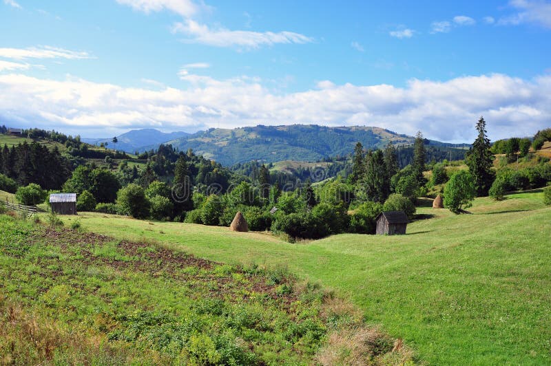 High altitude meadow stock image. Image of nature, cloud - 65931103