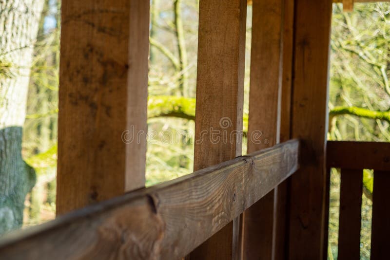 A High Altitude in a Natural Forest Stock Photo - Image of natural ...