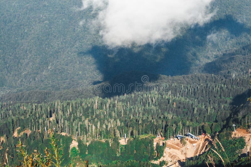 The High Altitude, View from the Mountains in the Summer Forest Stock ...