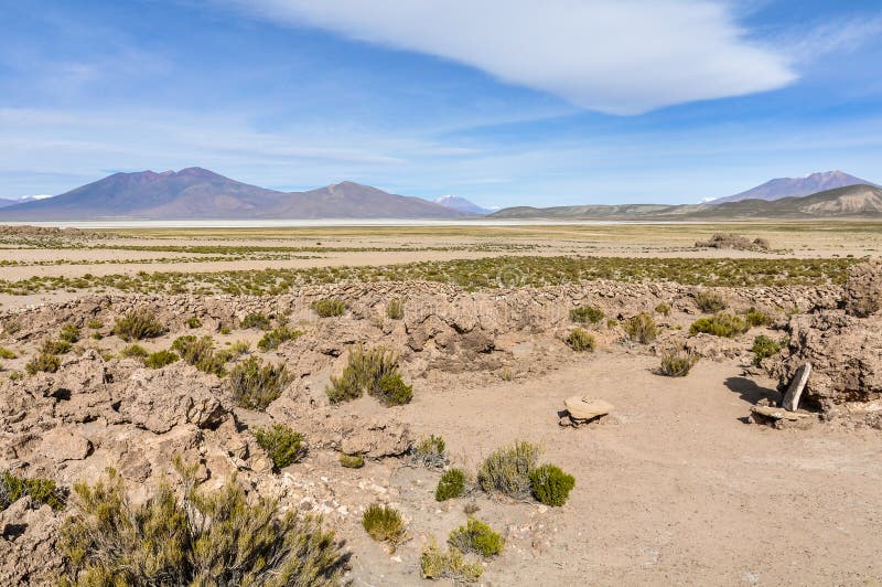 The Andean Plateau Altiplano-Peru 1 Stock Photo - Image of area ...