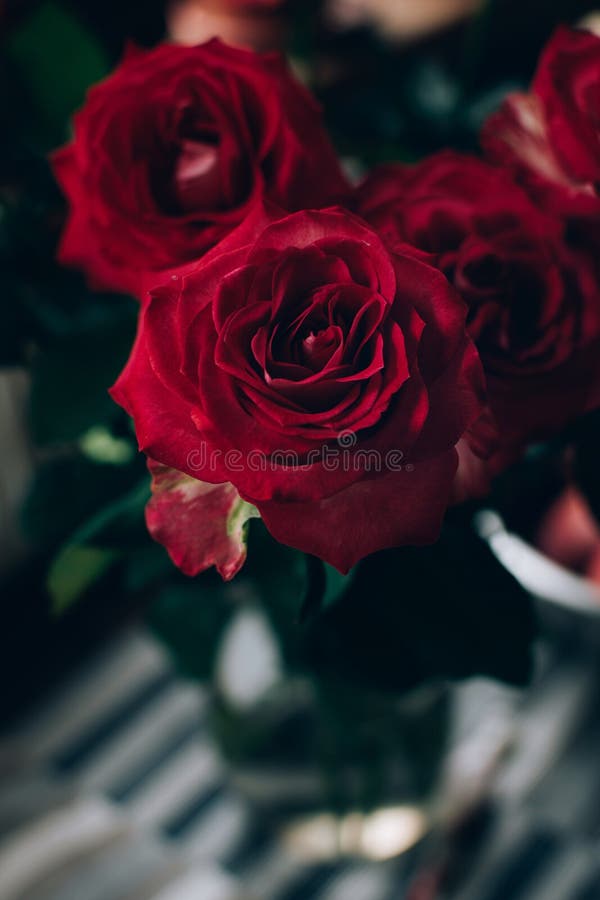 High Angel View of Bouquet of Red Roses in Vase on Table. Stock Photo ...