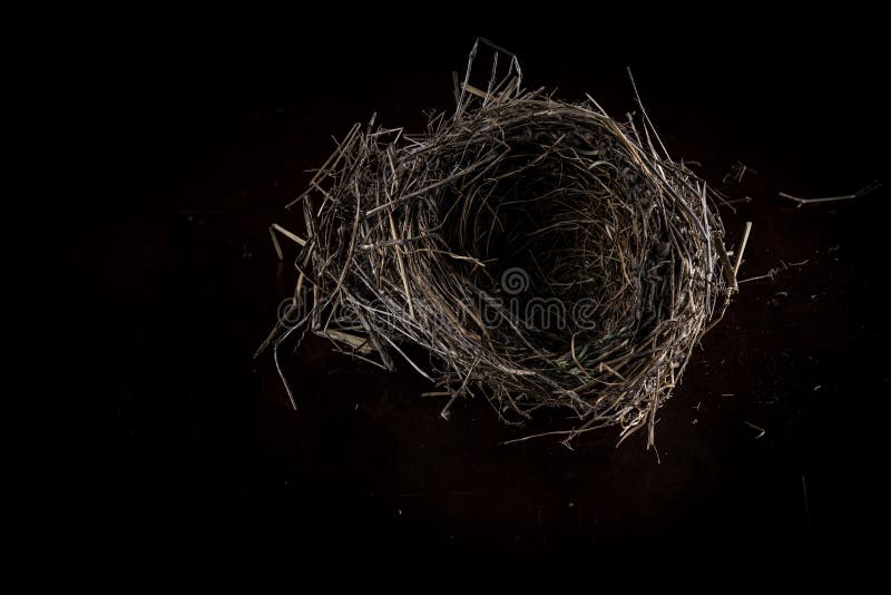 High Angle of a Bird Nest on a Dark Surface Stock Photo - Image of side ...