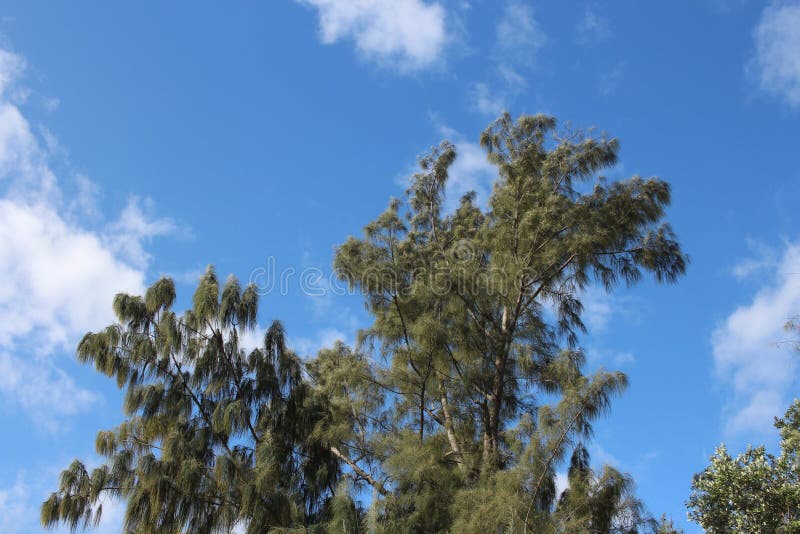 High angle blue sky stock photo. Image of blue, high - 212931696