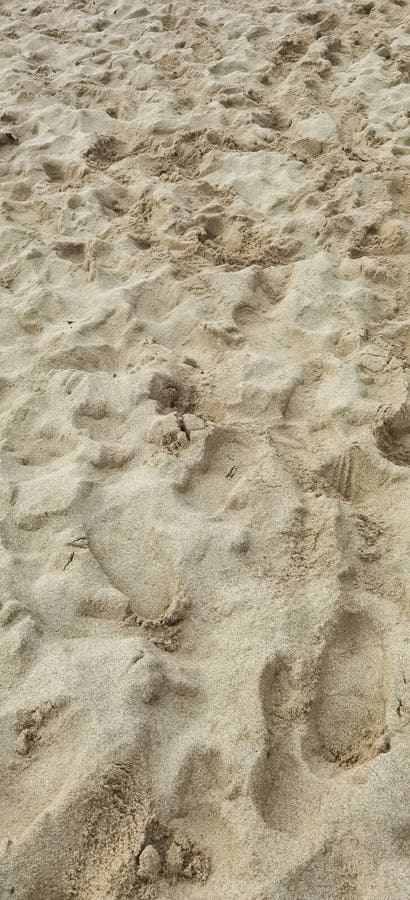 Differences Footprints Stock Photos - Free & Royalty-Free Stock Photos ...