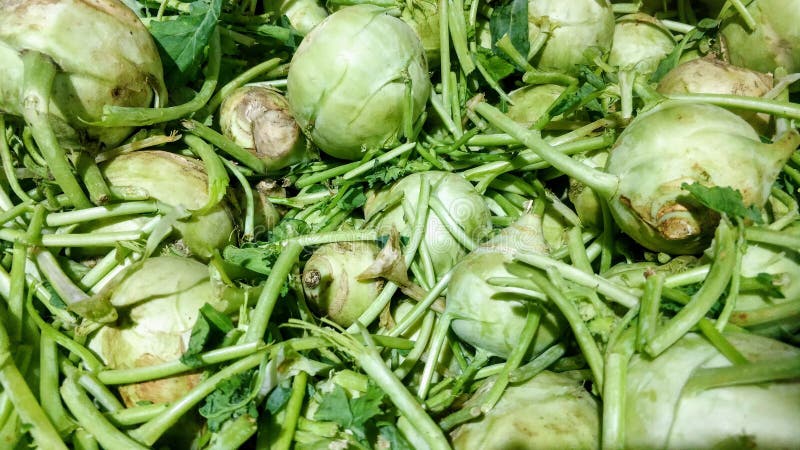 High Angle Closeup Shot of Harvested Cabbage - Perfect for an Article ...