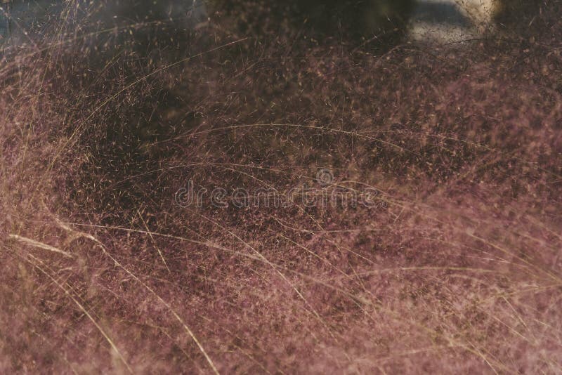 High Angle Closeup Shot of Small Scratches on a Transparent Surface ...