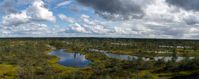High Angle Panorama View of Lakes and Lagoons in a Raised Bog and Marsh ...