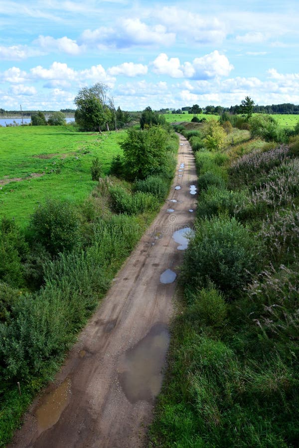 High Angle of a Puddle on a Road between Green Plants and Trees in the ...