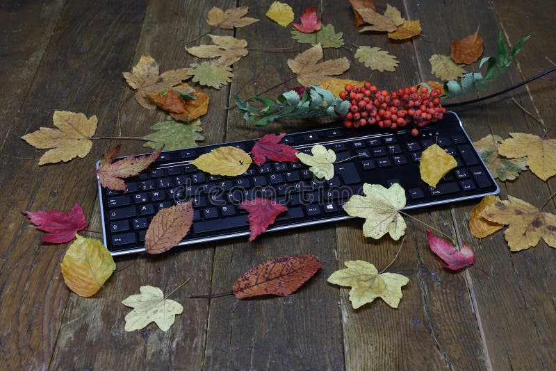 High Angle Shot of Autumn Leaves and Computer Keyboard on a Wooden ...