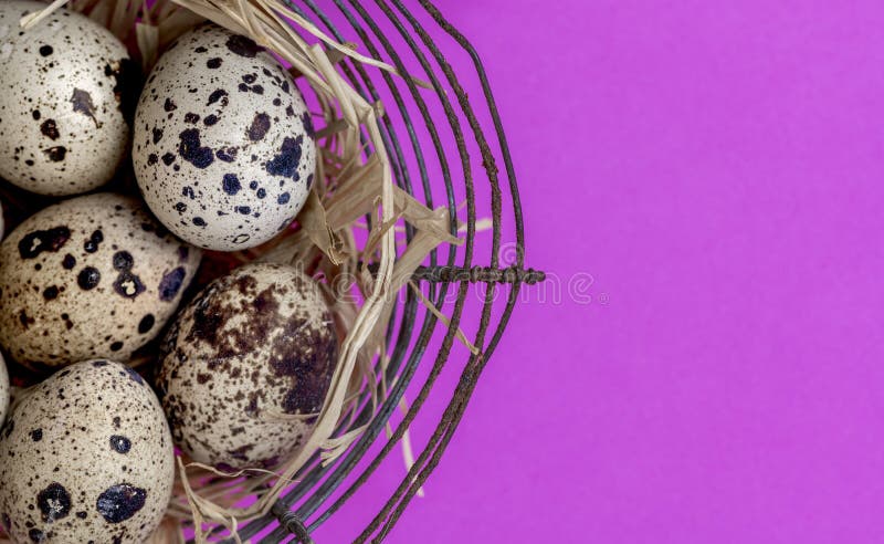High Angle Shot of a Basket Filled with Fresh Quail Eggs on a Purple ...