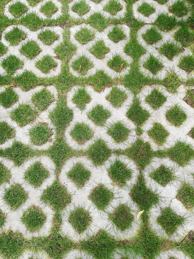 Beautiful Concrete Fence of Modern Style Design Fence Ideas. Front View ...