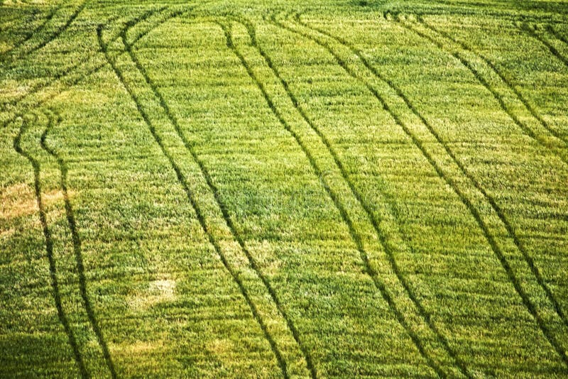 High Angle Shot of the Beautiful Landscape of a Green Field Stock Image ...