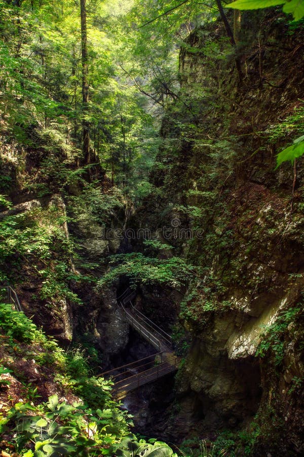 Devil's Swamp Lake Stock Photos - Free & Royalty-Free Stock Photos from ...