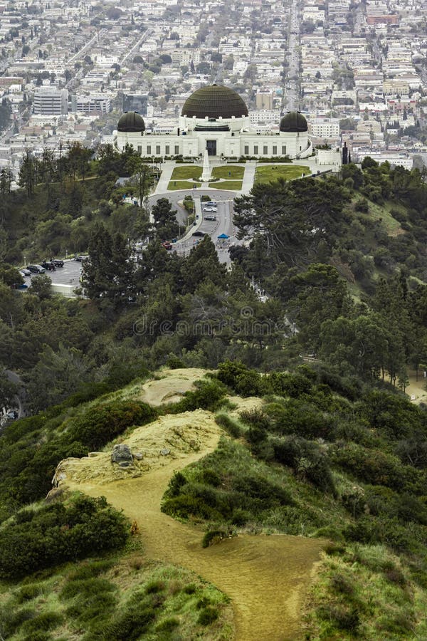 High Angle Shot of a Building Surrounded by a Forest during the Day ...