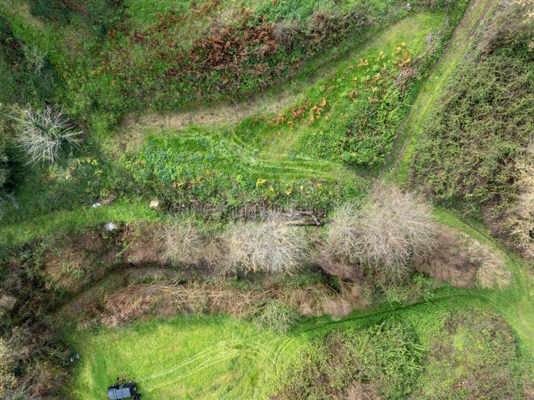 Aerial View of a Lush Green Landscape with a Dirt Path Winding through ...