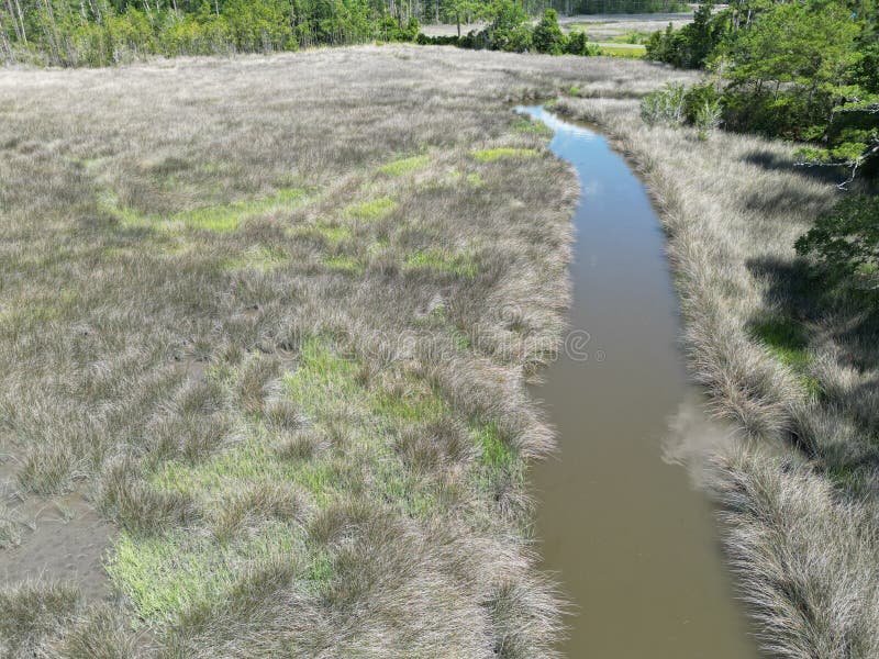 High Angle Shot of the Carolina Coast Marsh Stream Wetlands Stock Photo ...