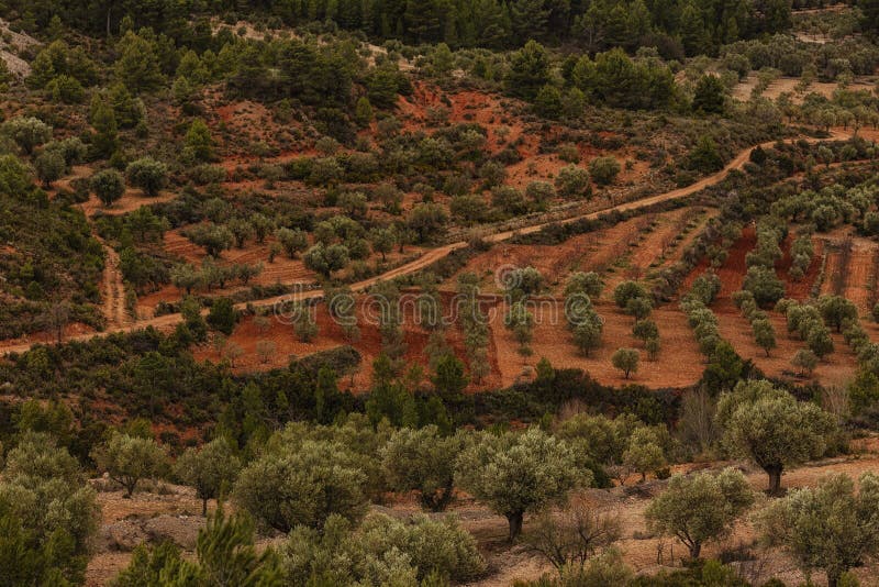 High-angle Shot of Cultivated Land with Trees Stock Image - Image of ...